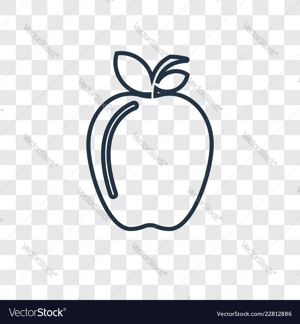 Apple concept linear icon isolated on transparent Vector Image