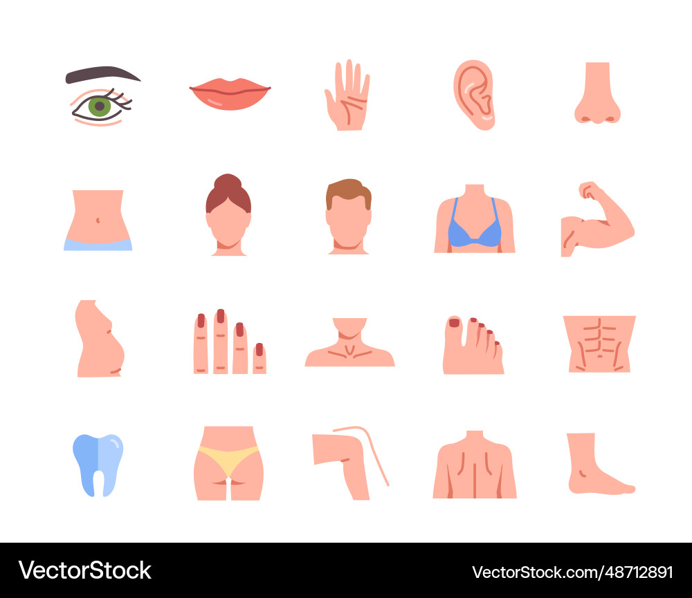 Human body parts icon set Royalty Free Vector Image
