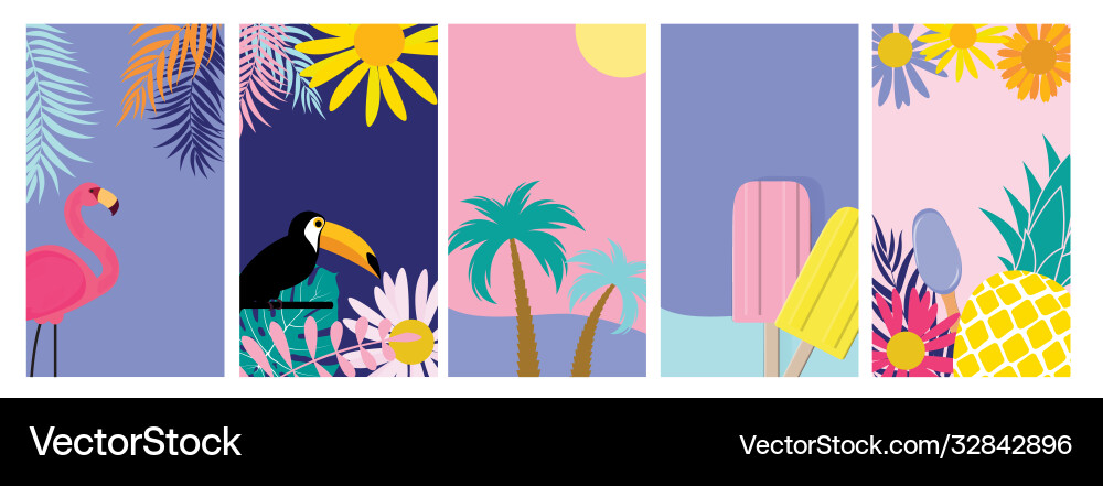 Collection set social media stories design Vector Image
