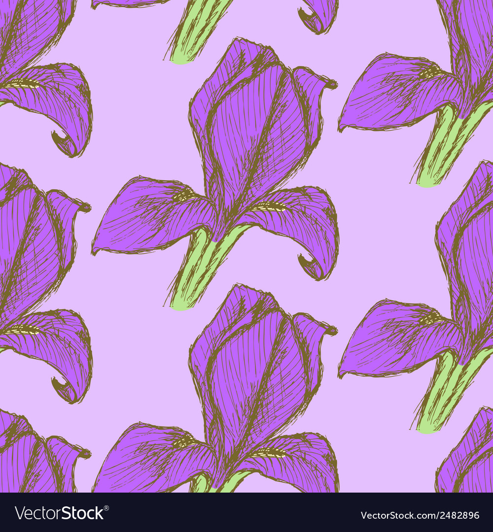Iris Royalty Free Vector Image - VectorStock