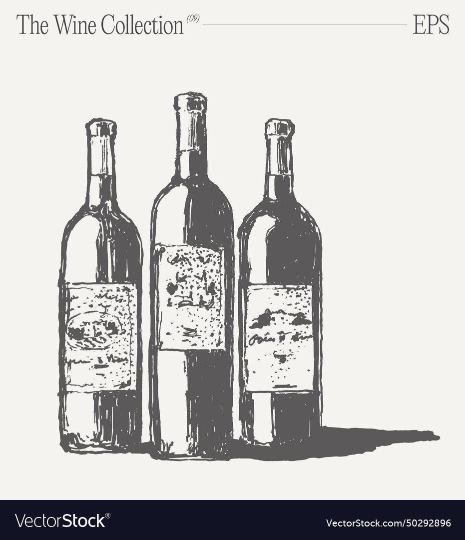 Three wine bottles isolated on blank backdrop Vector Image