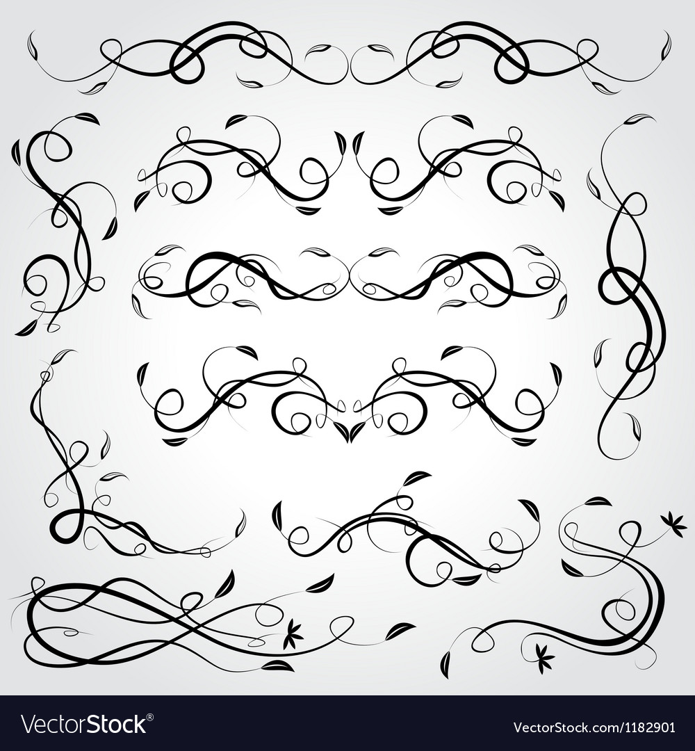 Floral design elements Royalty Free Vector Image