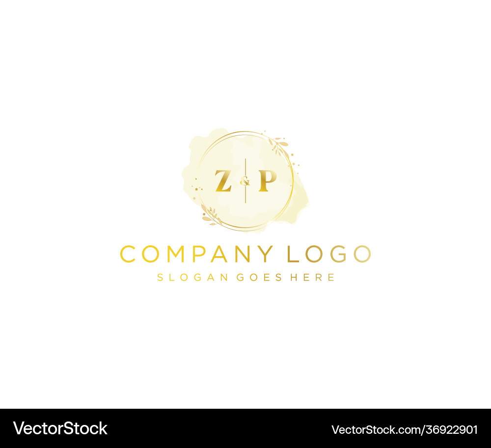 Initial zp letters colorful watercolor splash Vector Image