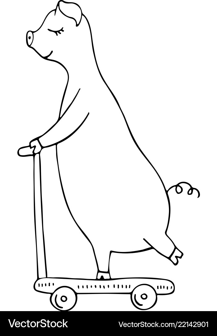 Monochrome hand-drawn pig riding on a scooter Vector Image