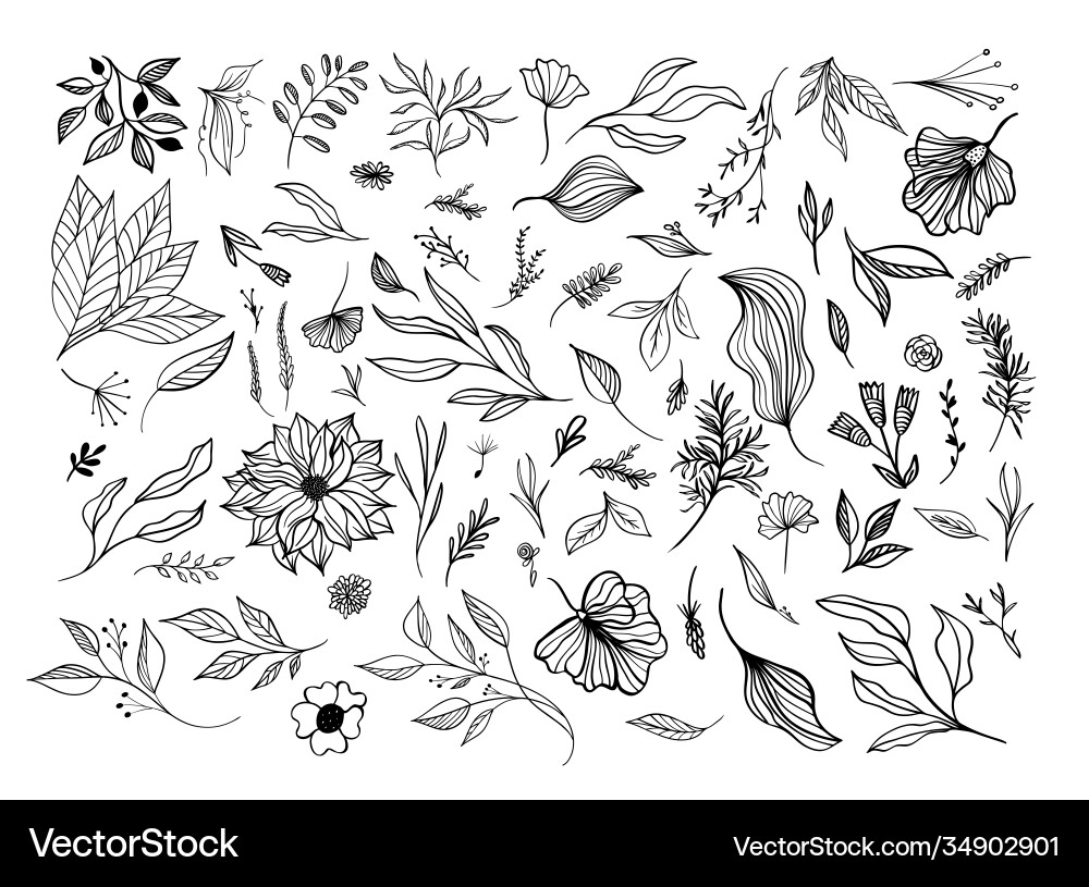 Set abstract flower floral isolated on white Vector Image