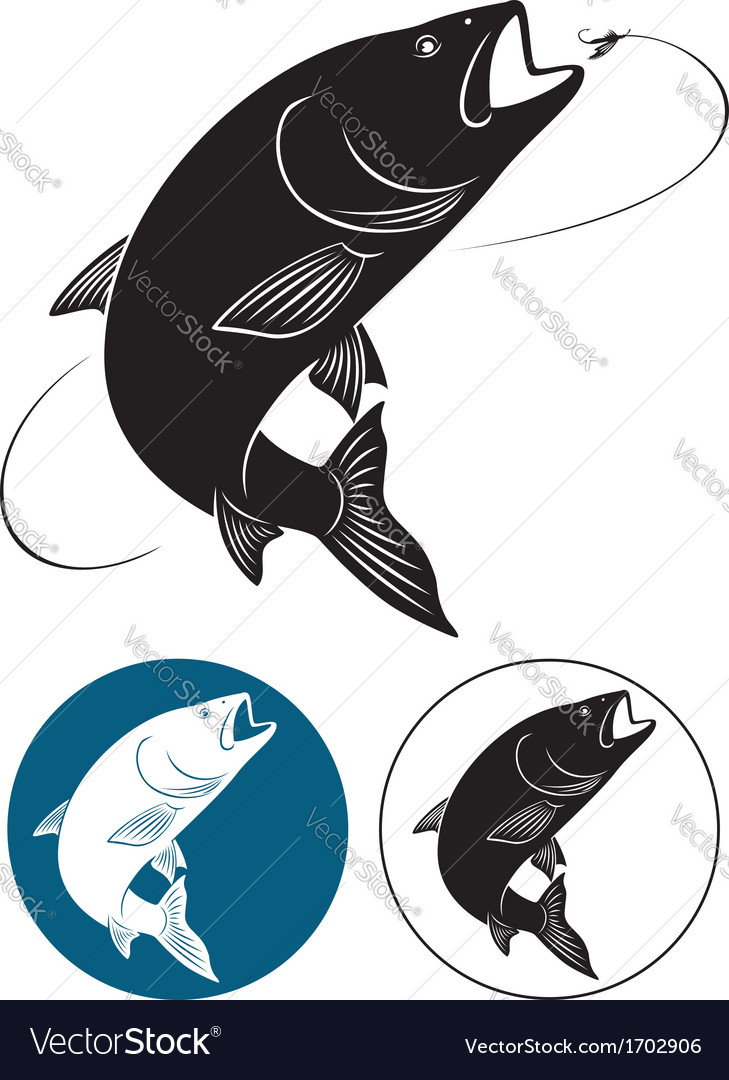 Fish chub Royalty Free Vector Image - VectorStock