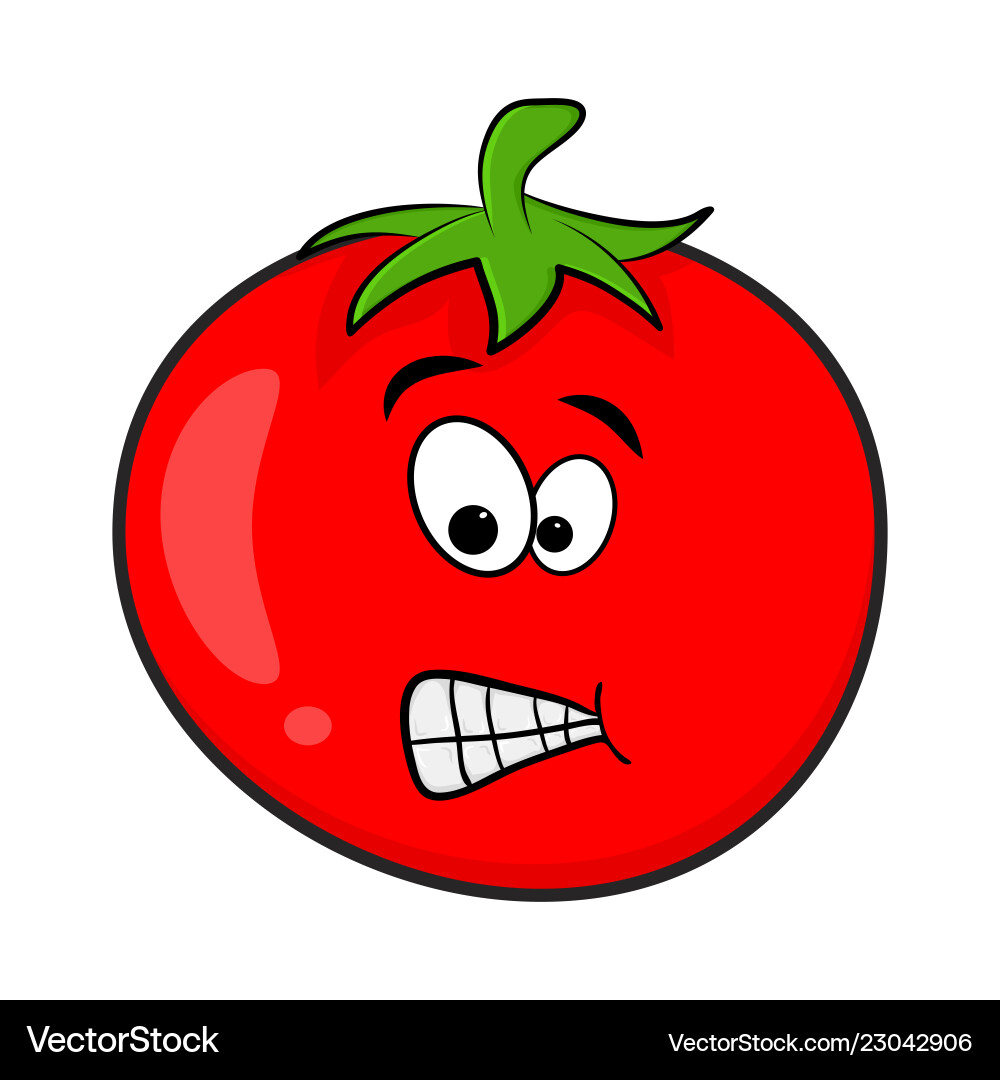 Funny tomato character cartoon design isolated Vector Image