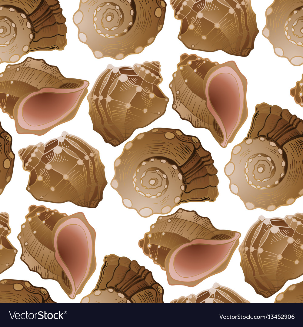 Graphic seashells pattern Royalty Free Vector Image