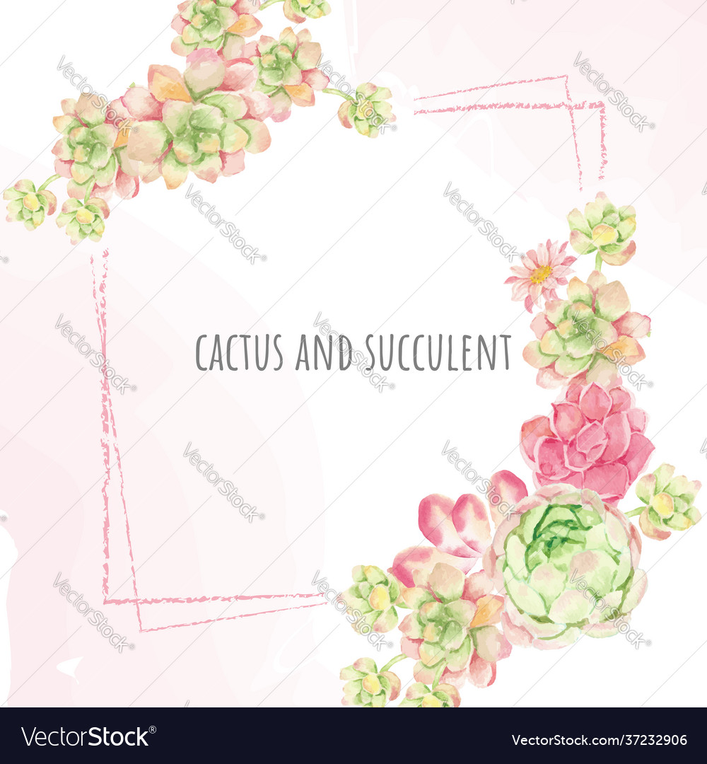 Watercolor cactus and succulent square banner Vector Image