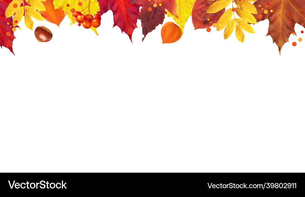 Autumn poster with borders and leaves Royalty Free Vector
