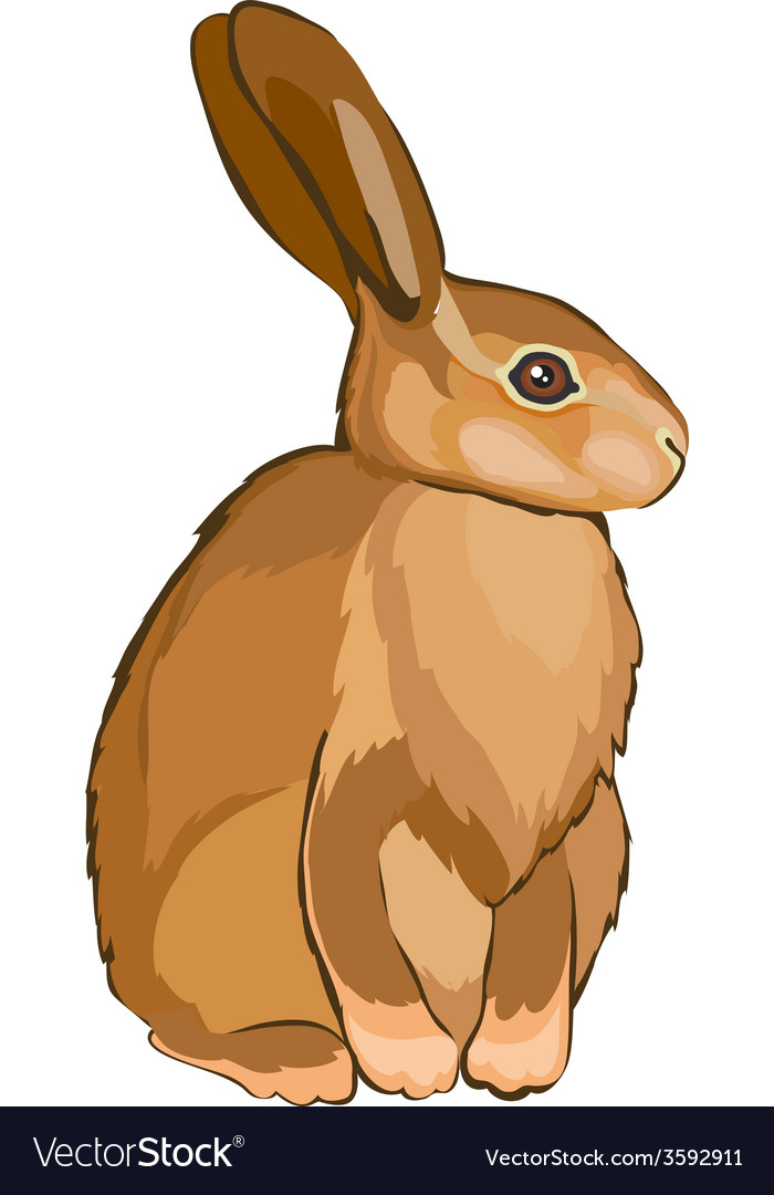 Hare Royalty Free Vector Image - VectorStock