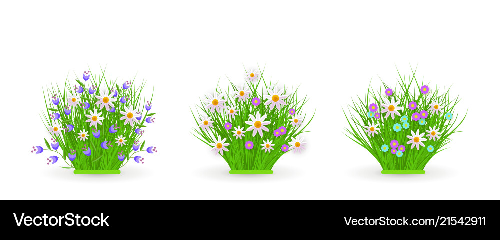 Spring and summer floral bundles set with white Vector Image