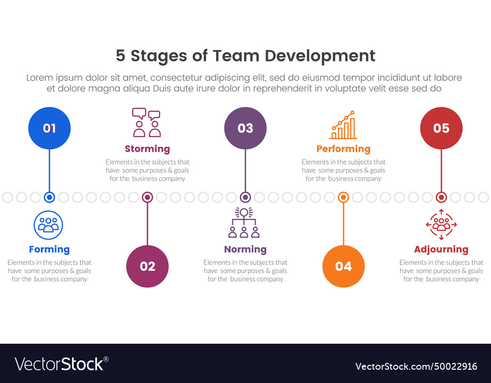 5 stages team development model framework Vector Image