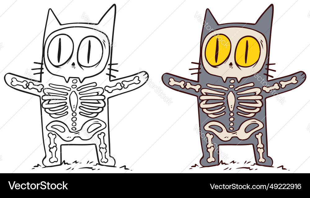 Cartoon halloween x ray skeleton cat with bones Vector Image