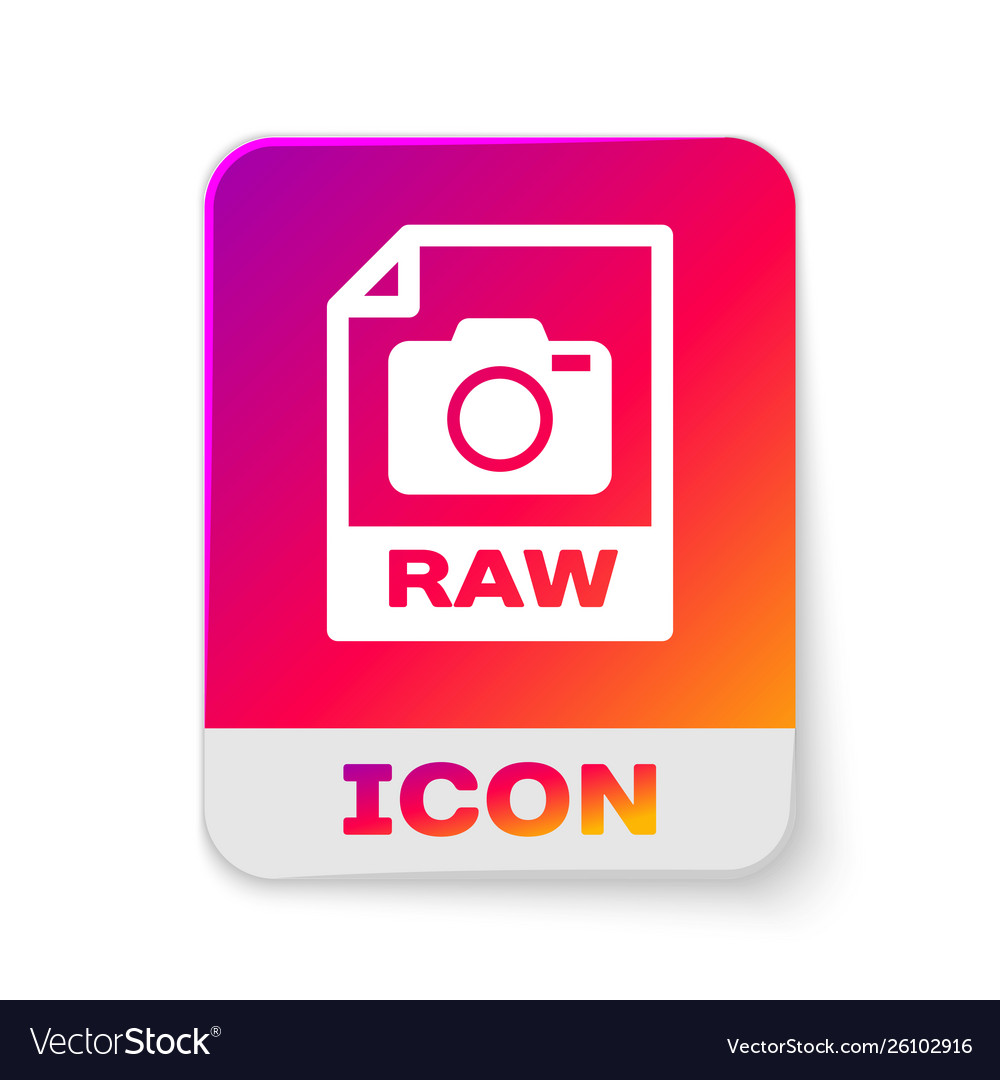 White raw file document icon download raw button Vector Image