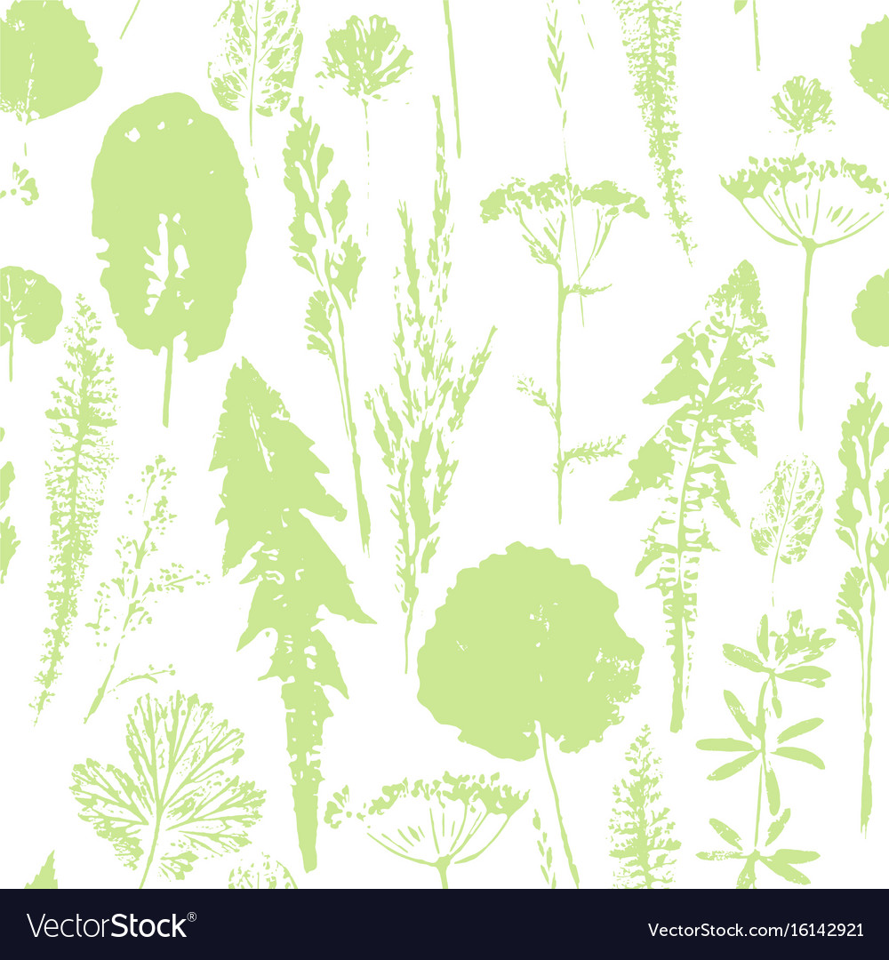 Abstract botanical seamless pattern herbal Vector Image