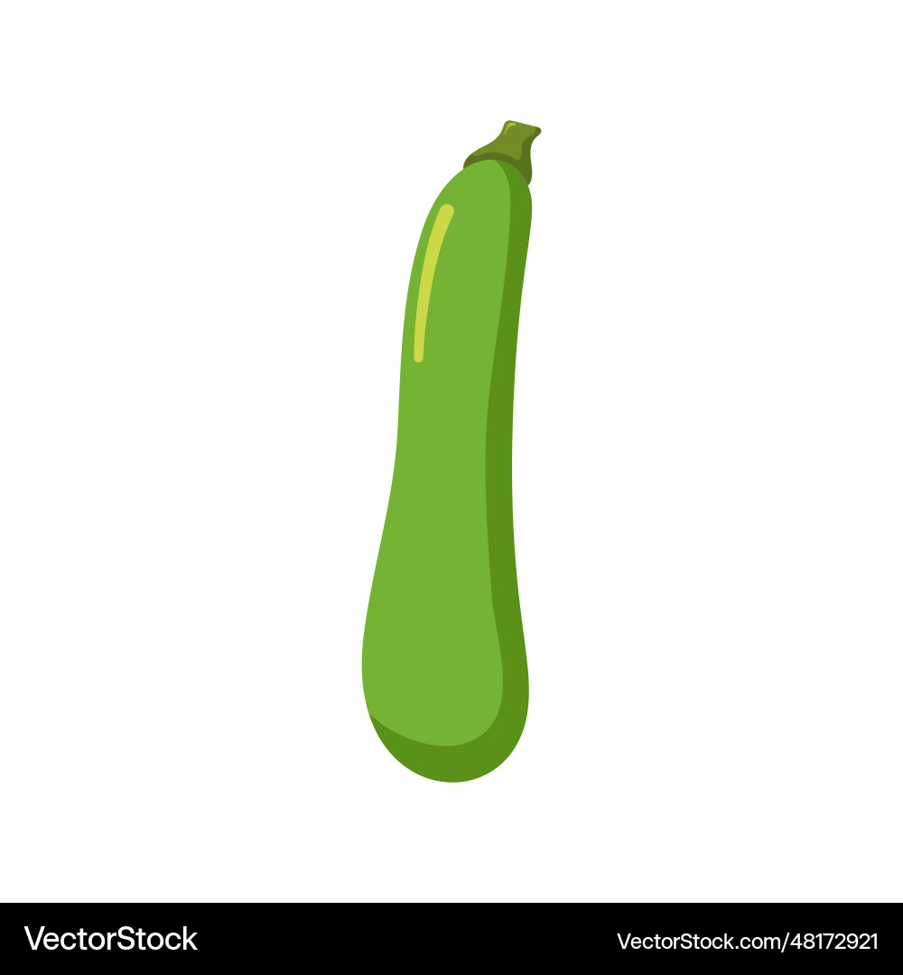 Funny cartoon courgette cute vegetable food Vector Image