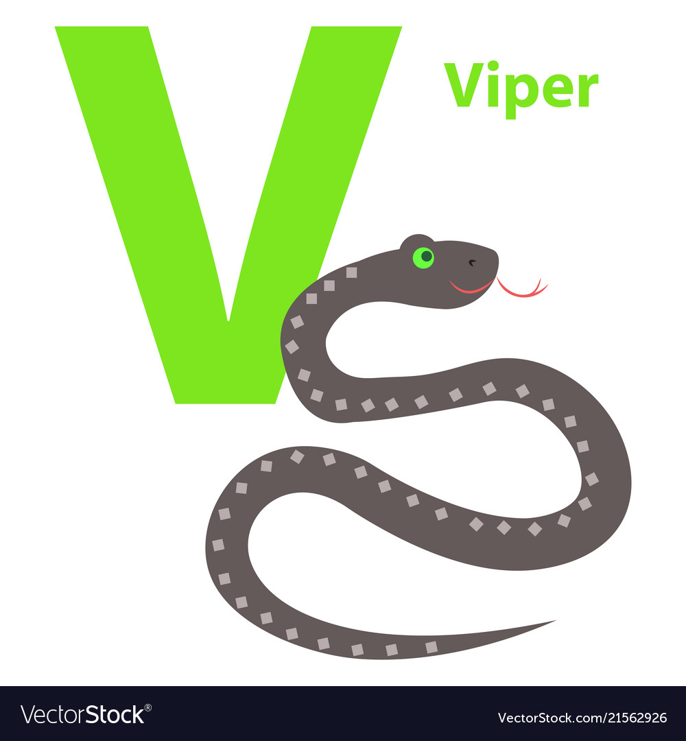Capital letter v viper on alphabet poster flat Vector Image