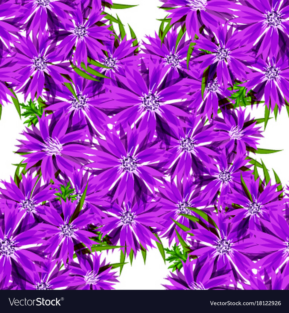 Seamless flower pattern Royalty Free Vector Image