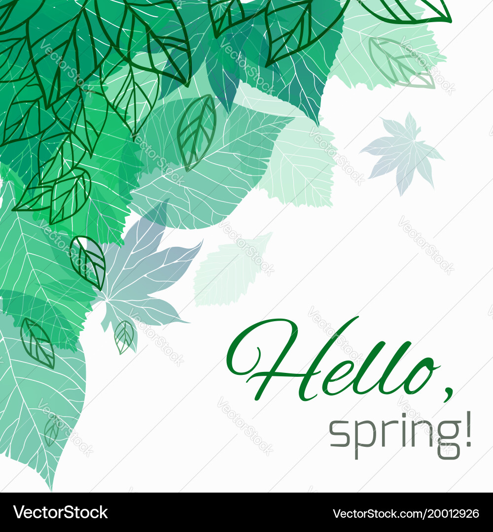Spring card with doodle and green leaves Vector Image
