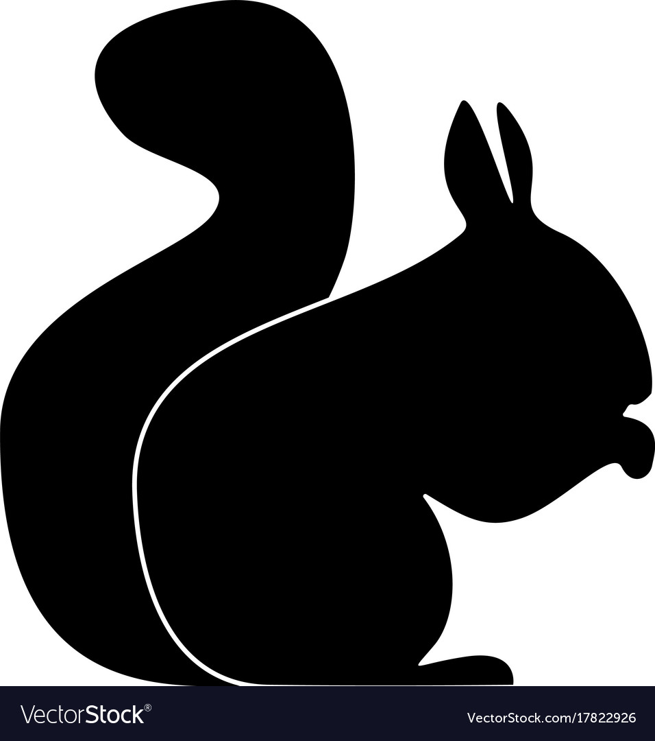 Squirrel Royalty Free Vector Image - VectorStock