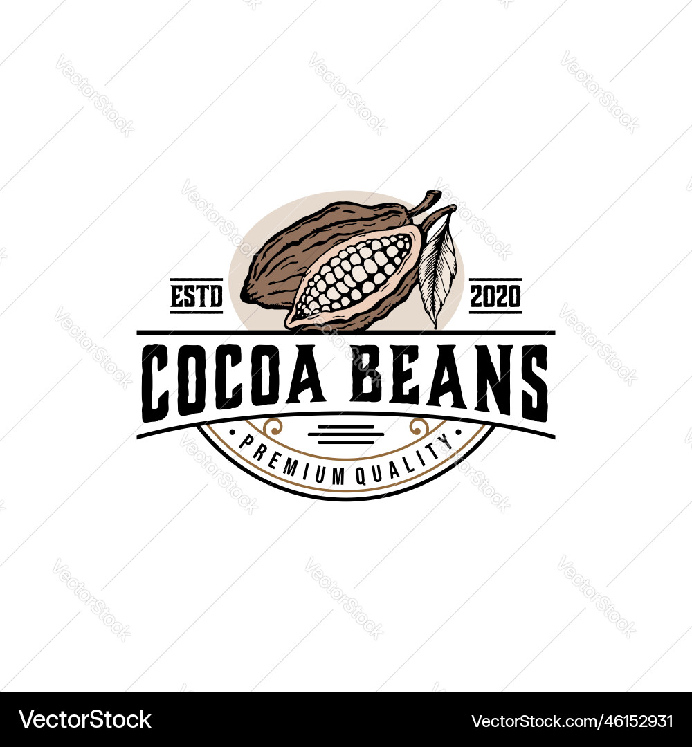 Cocoa beans chocolate fruit logo template Vector Image