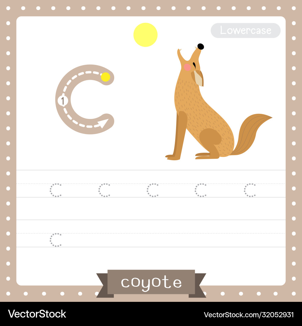 Letter c lowercase tracing practice worksheet Vector Image