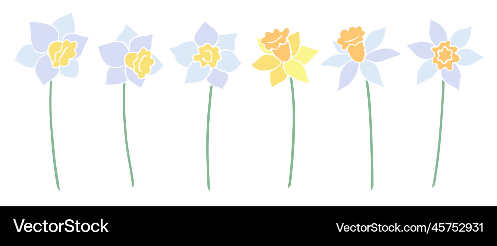Set of daffodil flowers Royalty Free Vector Image