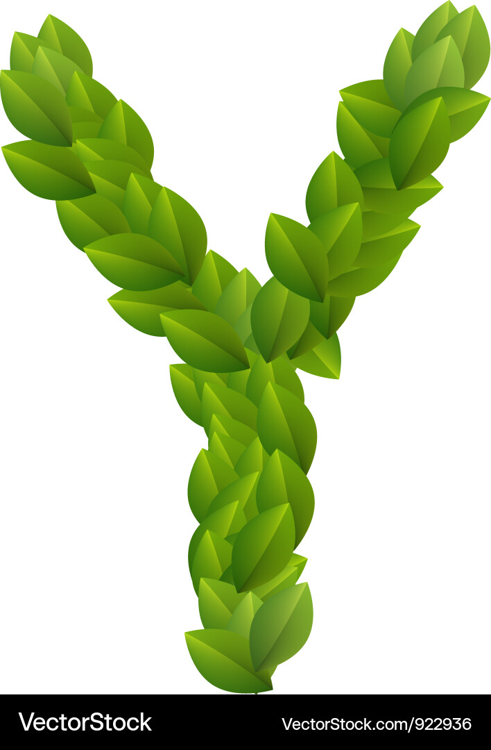 Letter y green leaves alphabet Royalty Free Vector Image
