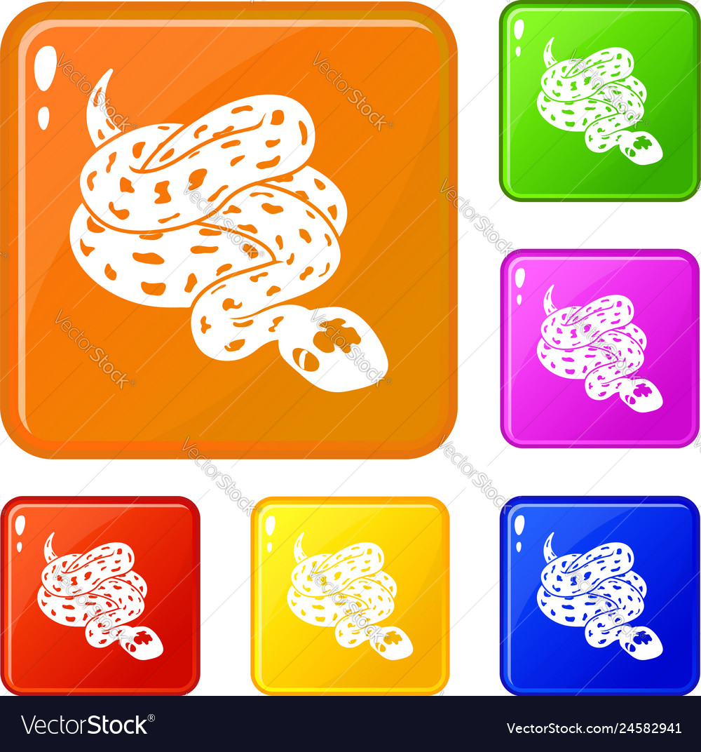 Anaconda snake icons set color Royalty Free Vector Image