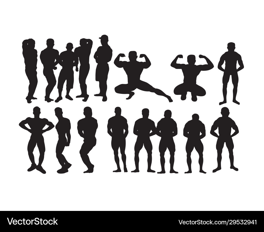 Bodybuilding sports Royalty Free Vector Image - VectorStock