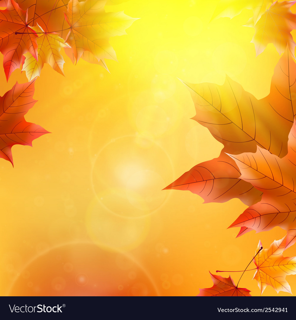 Delicate autumn sun with glare on gold sky Vector Image