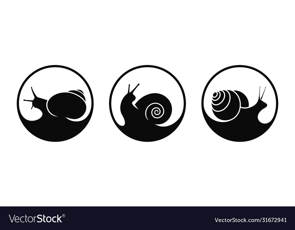 Snail Royalty Free Vector Image - VectorStock