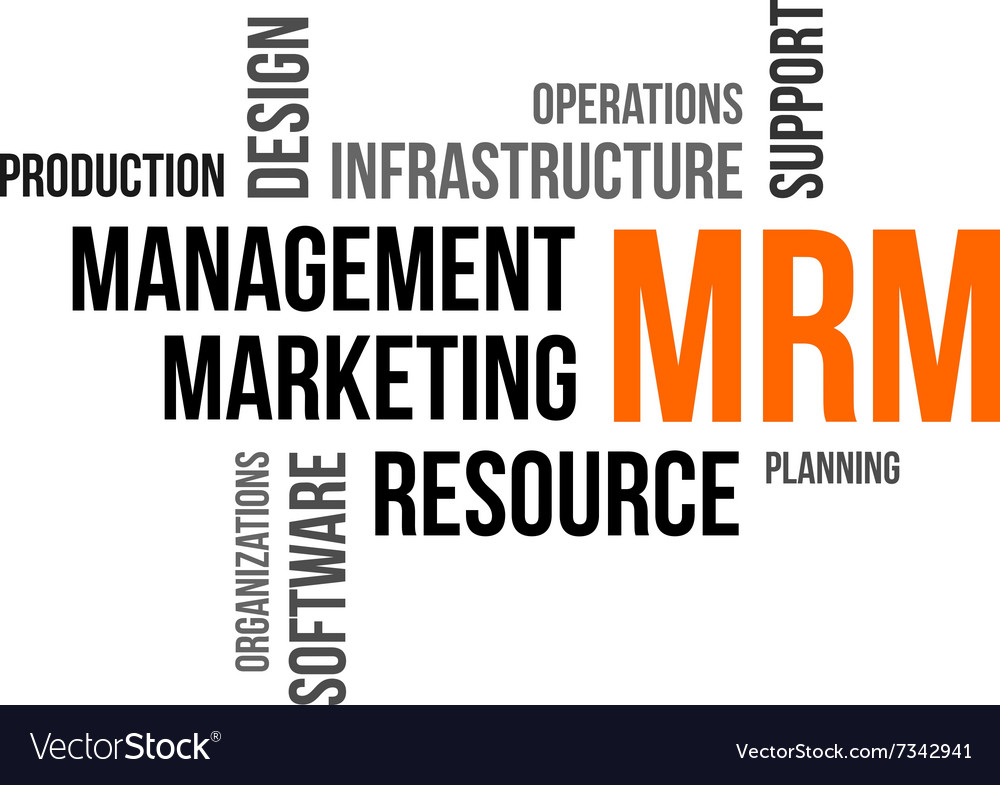 Word cloud mrm Royalty Free Vector Image - VectorStock