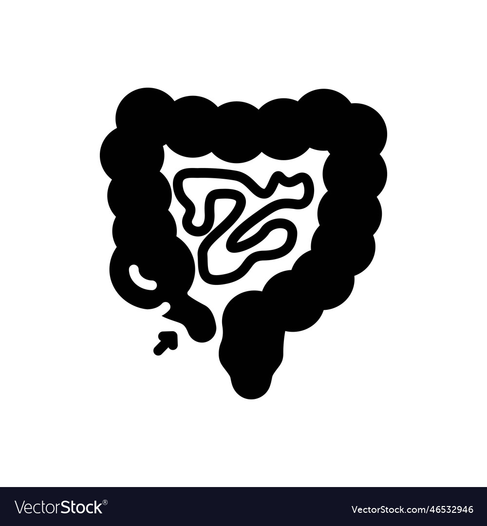Appendix Royalty Free Vector Image - VectorStock