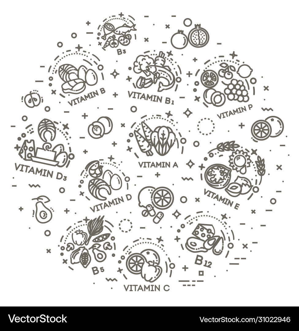 Groups healthy fruit vegetables meat fish Vector Image