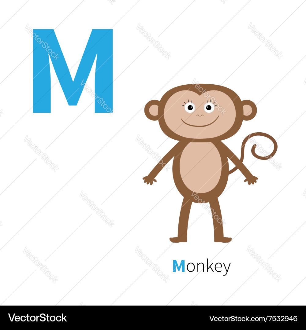 Letter m monkey zoo alphabet english abc Vector Image