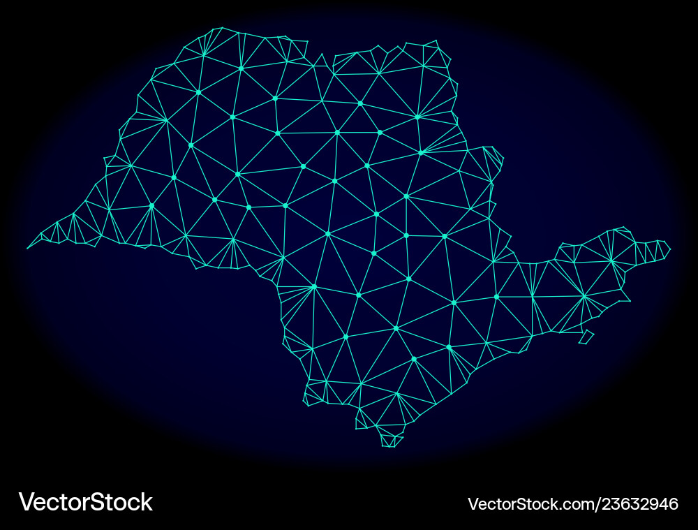 Polygonal 2d mesh abstract map of sao paulo Vector Image