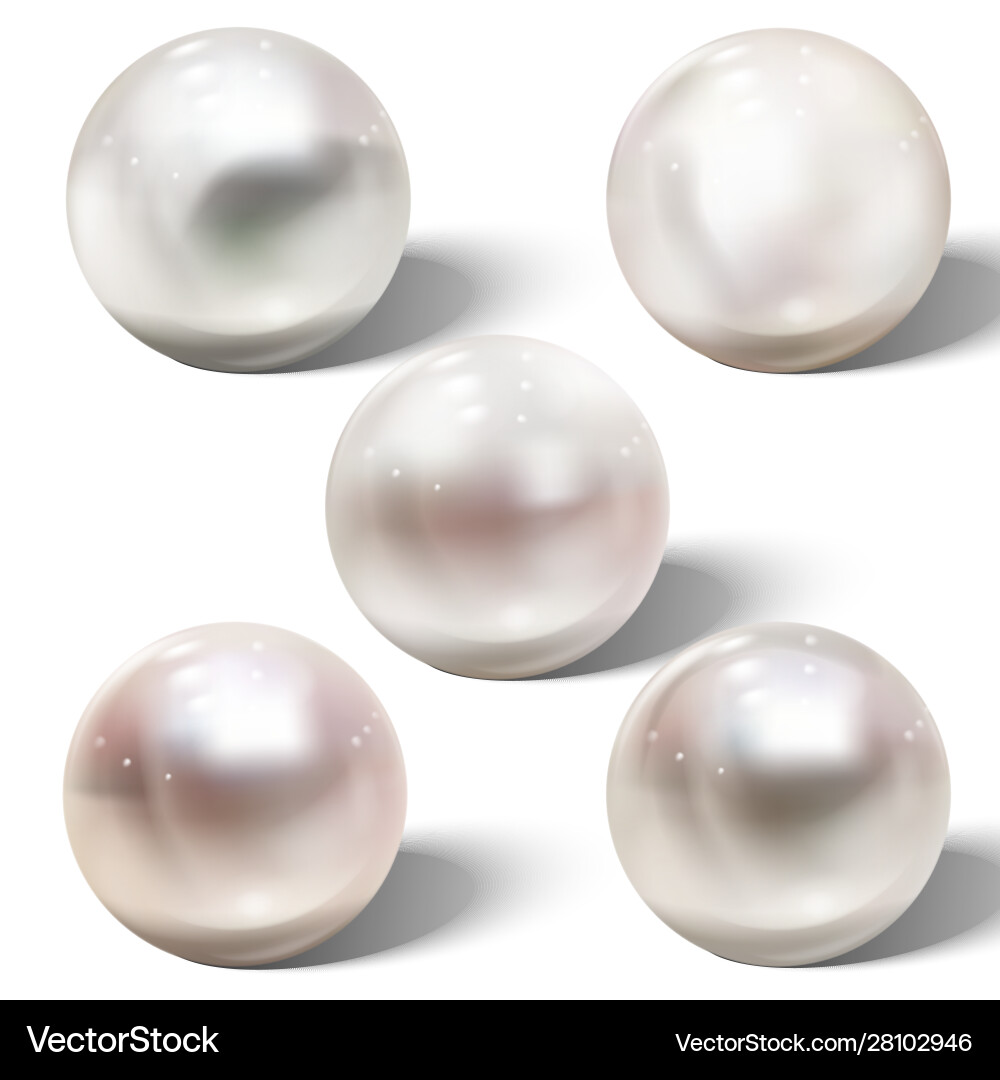 Realistic shiny natural sea pearl with light Vector Image