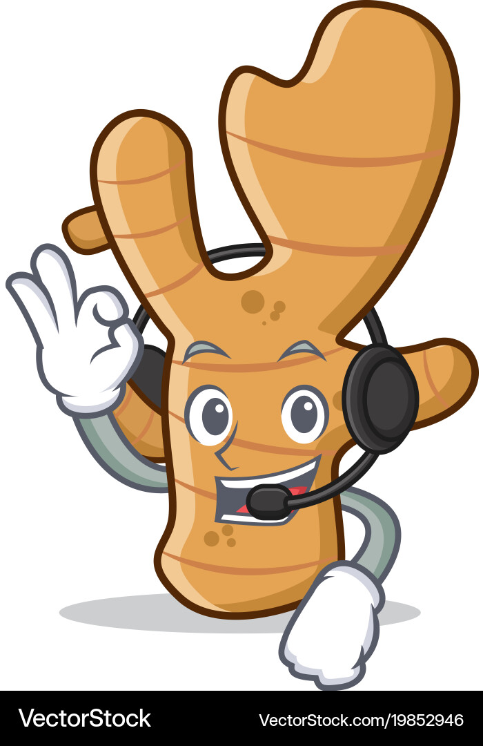 With headphone ginger mascot cartoon style Vector Image