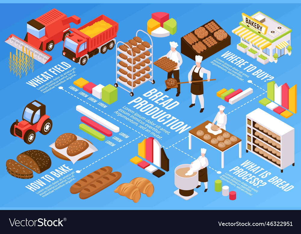 Bread production flowchart Royalty Free Vector Image