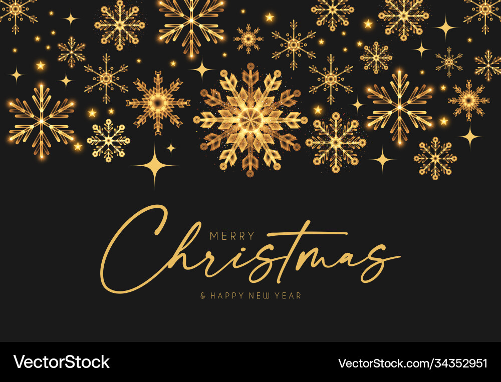 Merry christmas elegant holiday design Royalty Free Vector