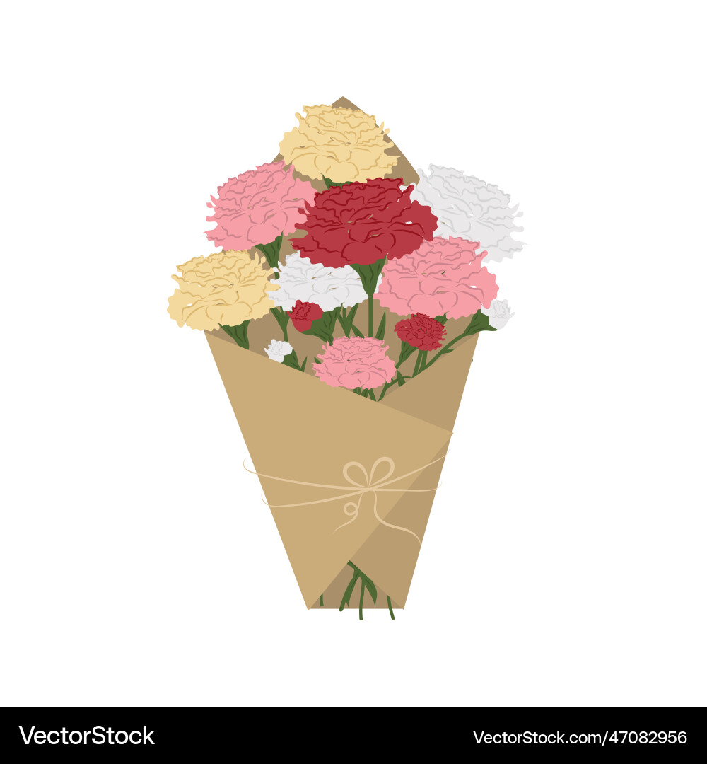 Bouquet of carnations multicolored carnations Vector Image