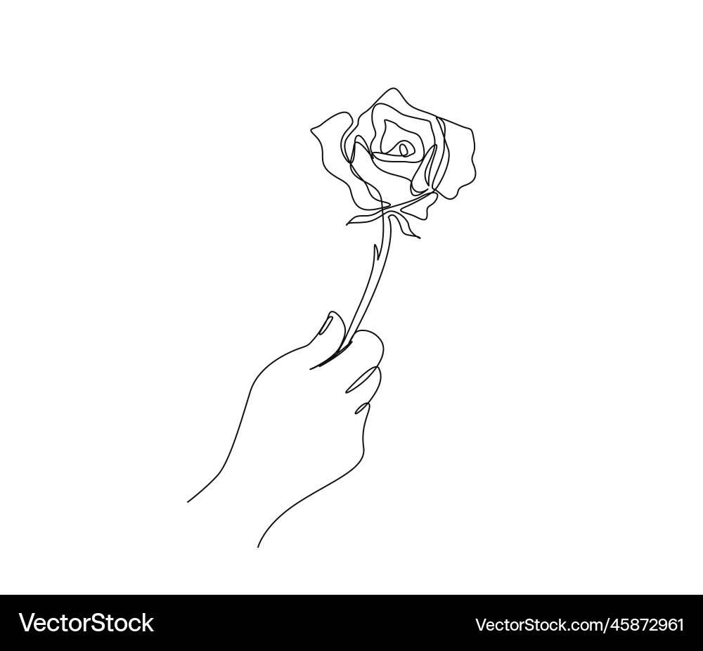 Continuous line drawing of hand holding rose Vector Image