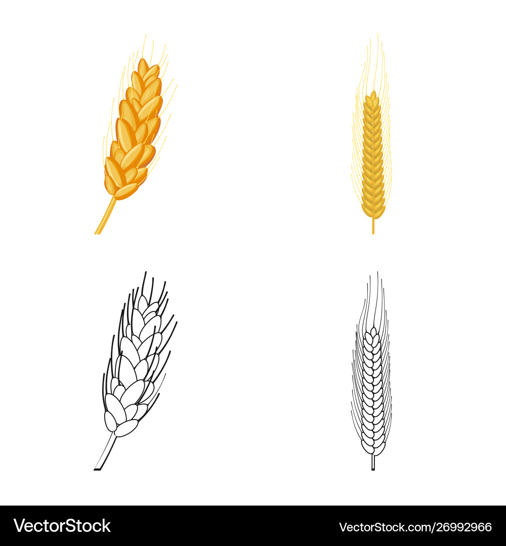 Agriculture and farming Royalty Free Vector Image
