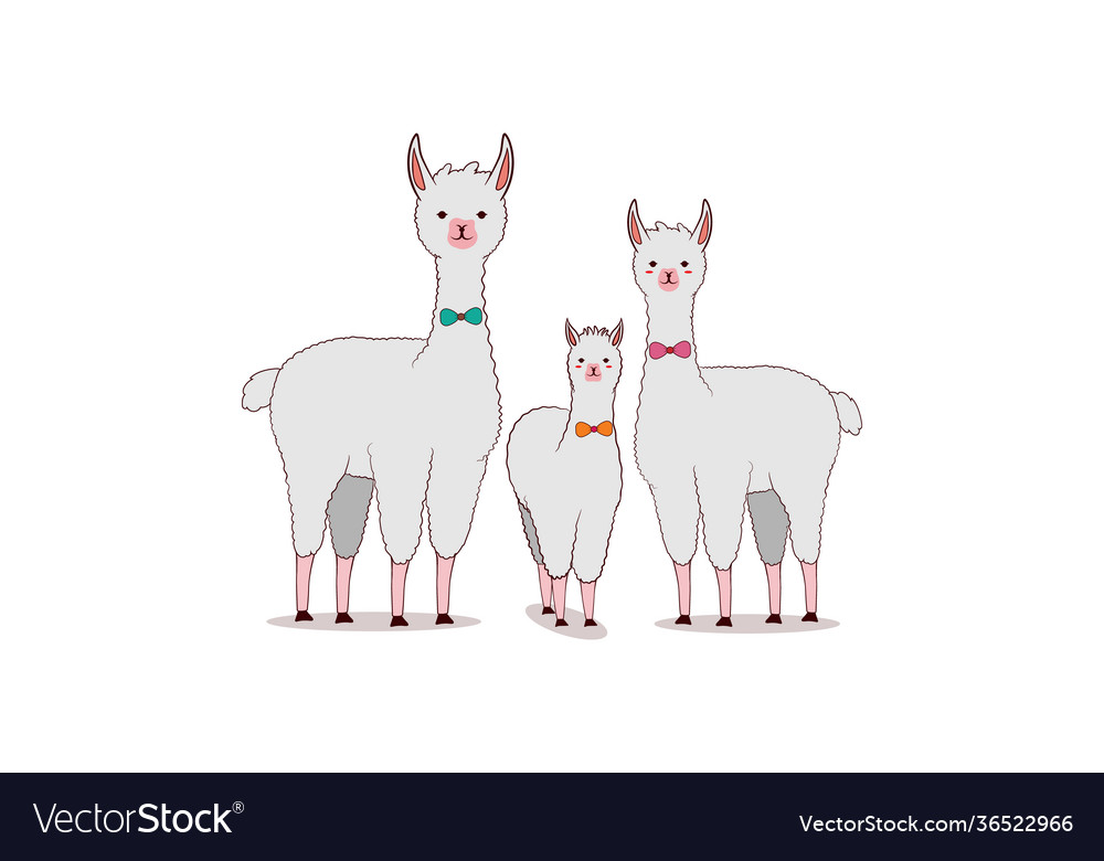 Cute alpaca family Royalty Free Vector Image - VectorStock