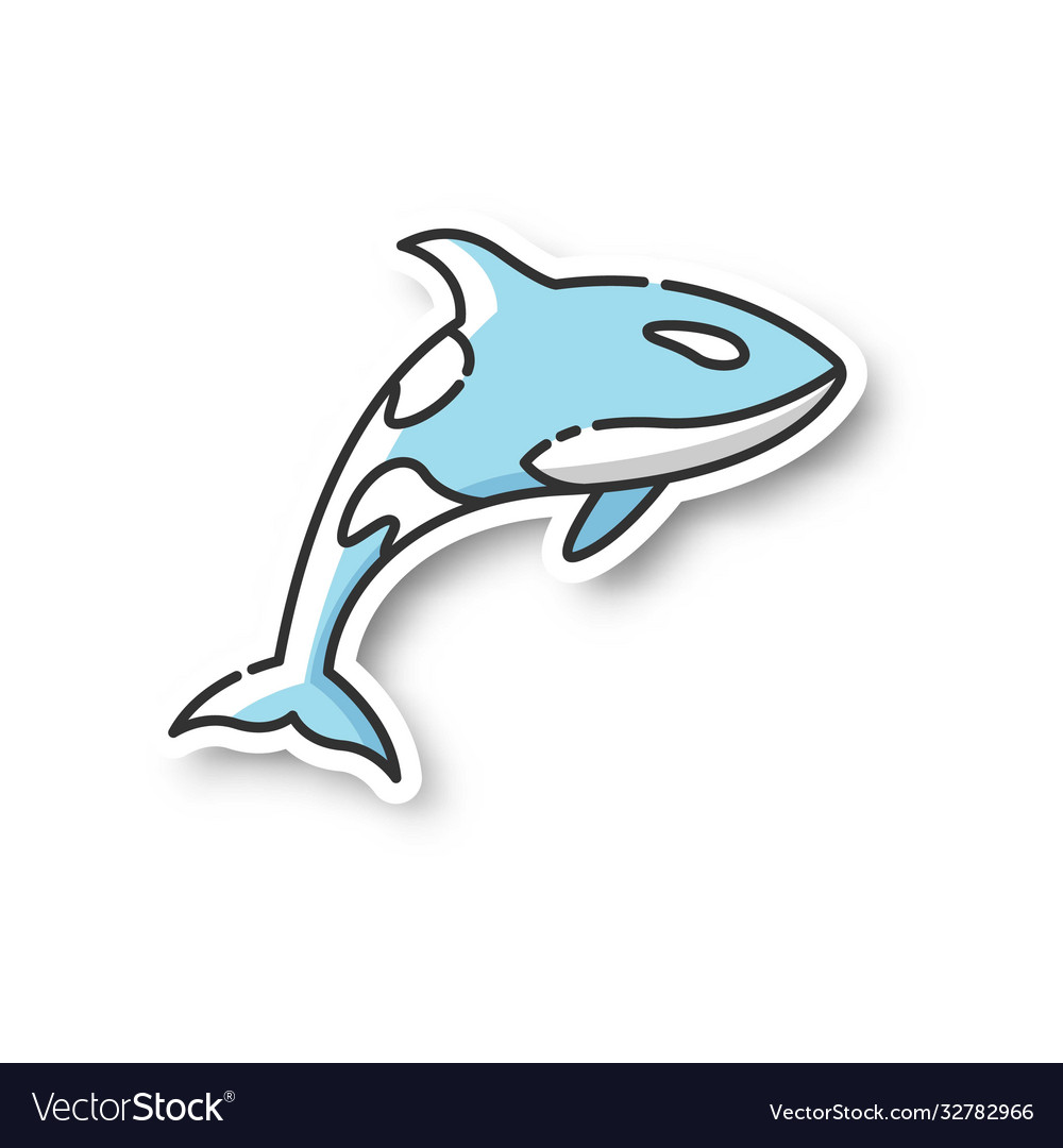 Orca patch Royalty Free Vector Image - VectorStock