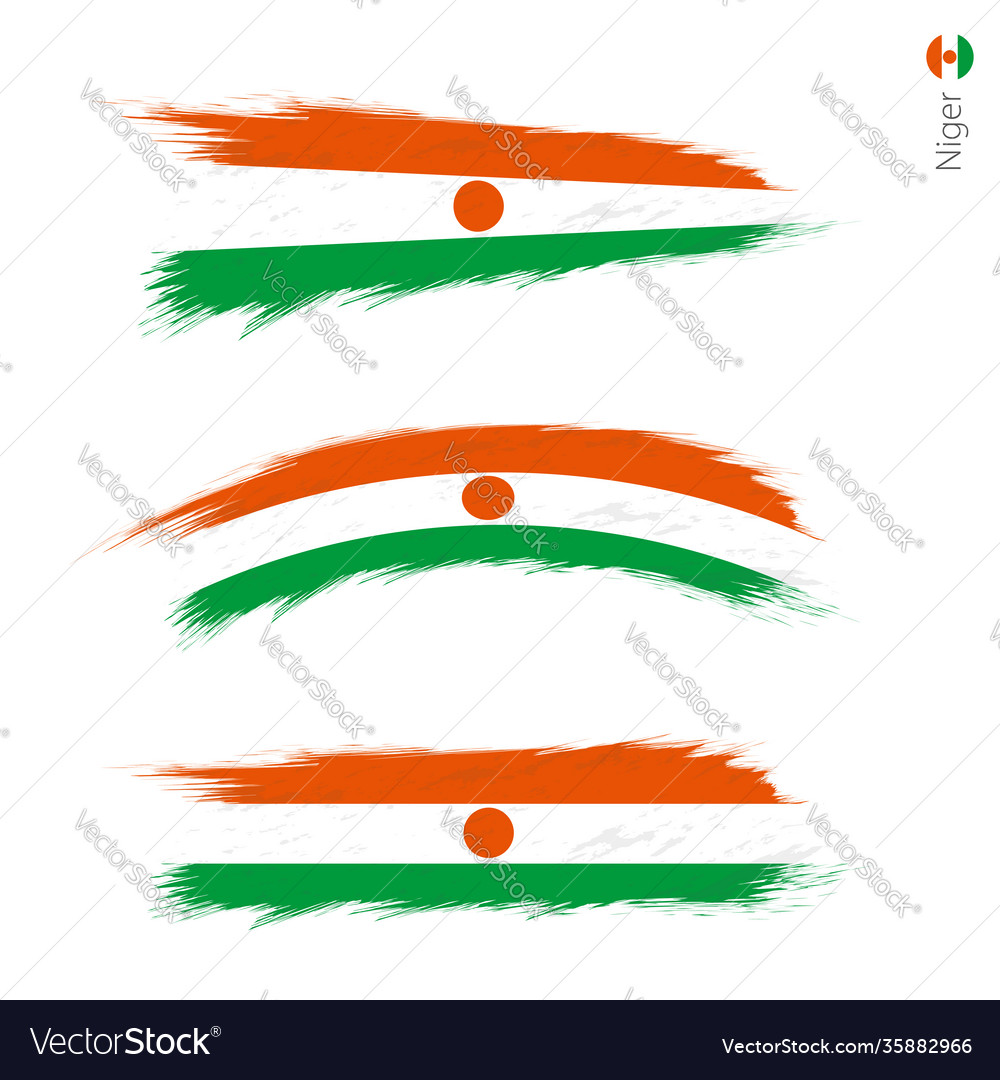 Set 3 grunge textured flag niger Royalty Free Vector Image