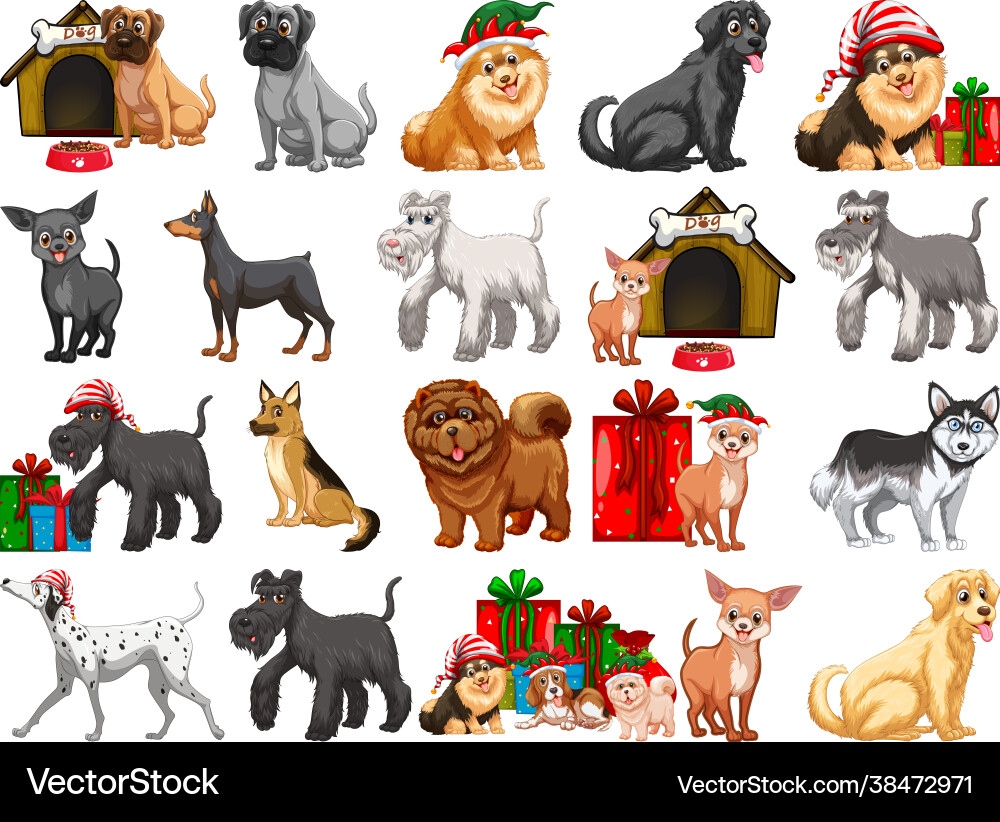 Different funny dogs in cartoon style isolated Vector Image