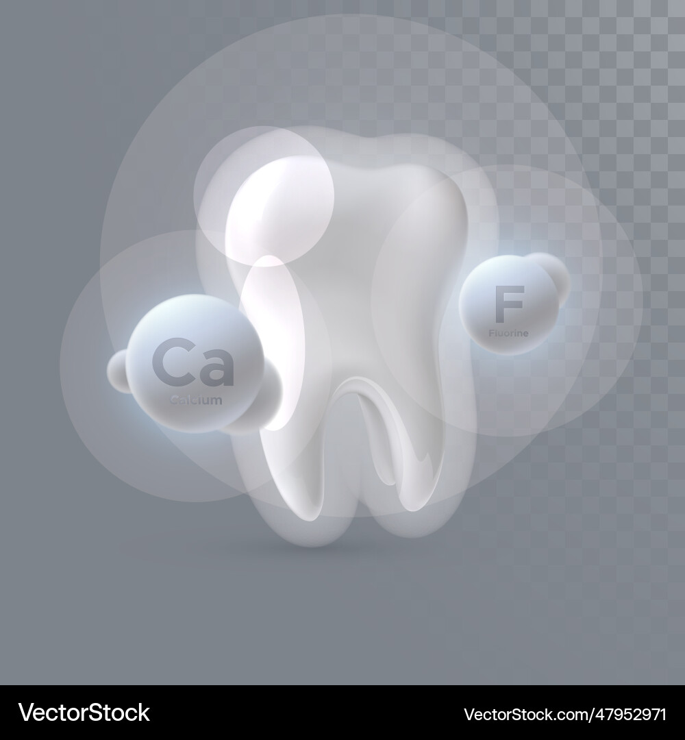 Realistic 3d tooth with calcium and fluorine Vector Image